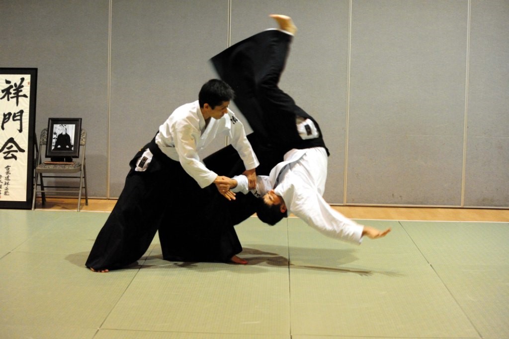 Penjelasan Teknik Aikido, Bela Diri yang Dilarang di MMA